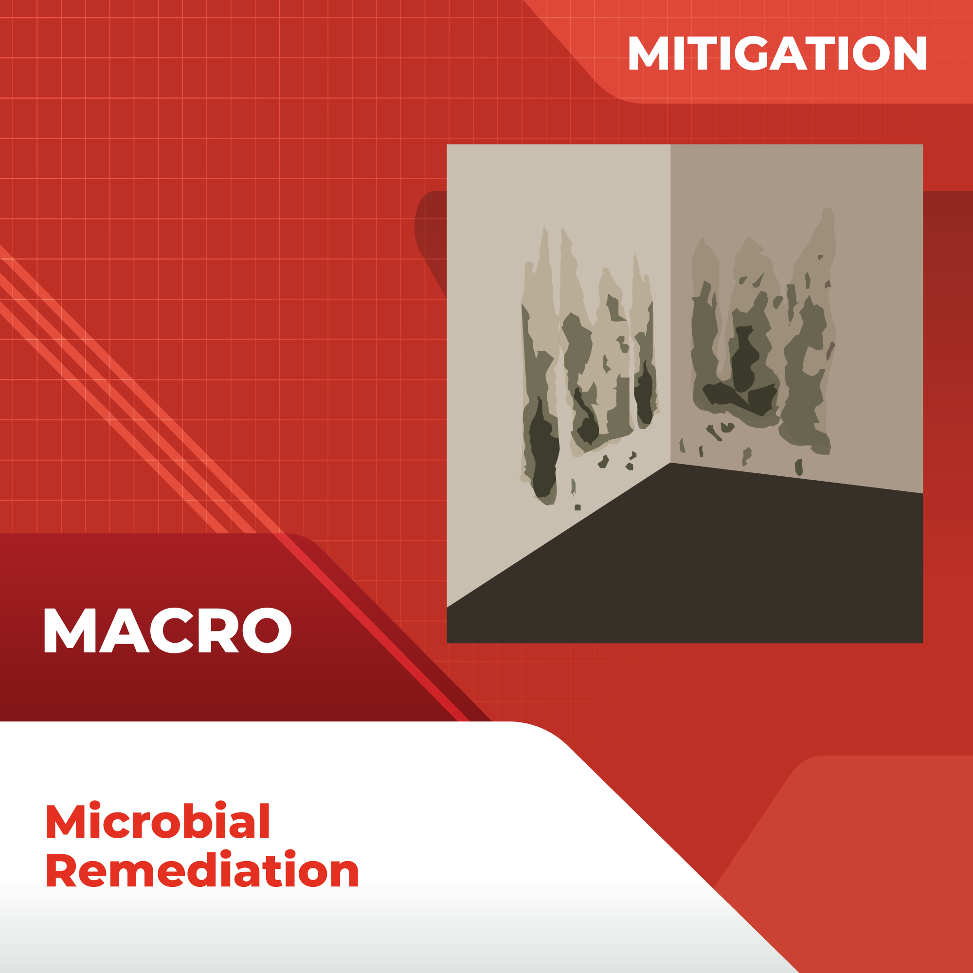 Xactimate Macros to Boost Your Productivity | Actionable